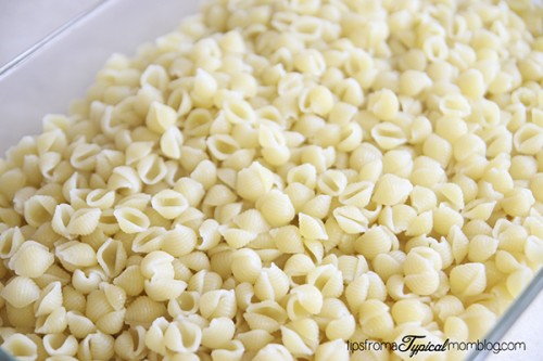 Homemade Shells ‘n Cheese - Tips from a Typical Mom