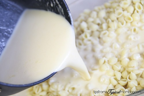 Homemade Shells ‘n Cheese - Tips from a Typical Mom