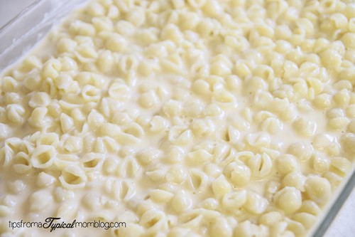 Homemade Shells ‘n Cheese - Tips from a Typical Mom