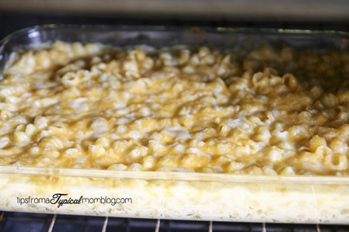 Homemade Shells ‘n Cheese - Tips from a Typical Mom