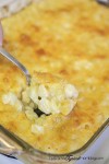 Homemade Shells ‘n Cheese - Tips from a Typical Mom