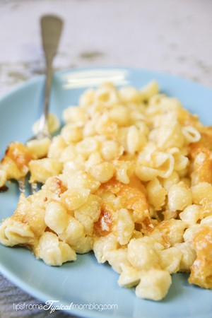 Homemade Shells ‘n Cheese - Tips from a Typical Mom