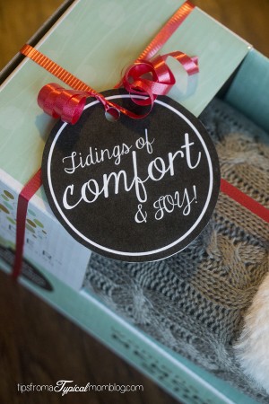 8 Quick and Easy Teacher Christmas Gift Ideas with Printable Tags ...