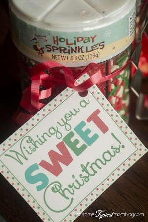 8 Quick and Easy Teacher Christmas Gift Ideas with Printable Tags ...