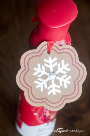 8 Quick and Easy Teacher Christmas Gift Ideas with Printable Tags ...