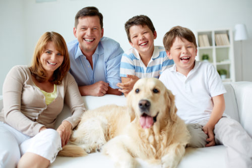 How to Choose the Right Dog for Your Family - Tips from a Typical Mom