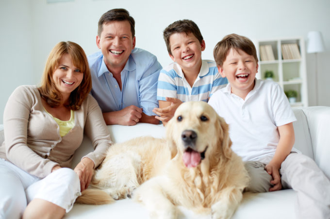 How to Choose the Right Dog for Your Family - Tips from a Typical Mom