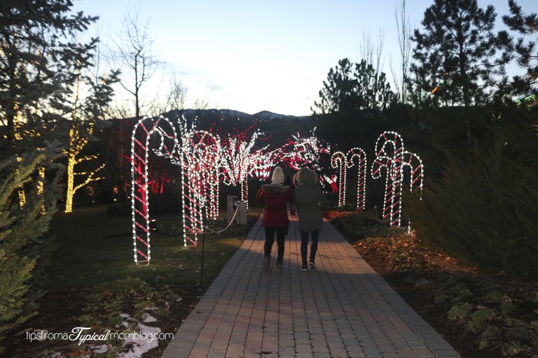Luminaria at Thanksgiving Point- A Review - Tips from a Typical Mom
