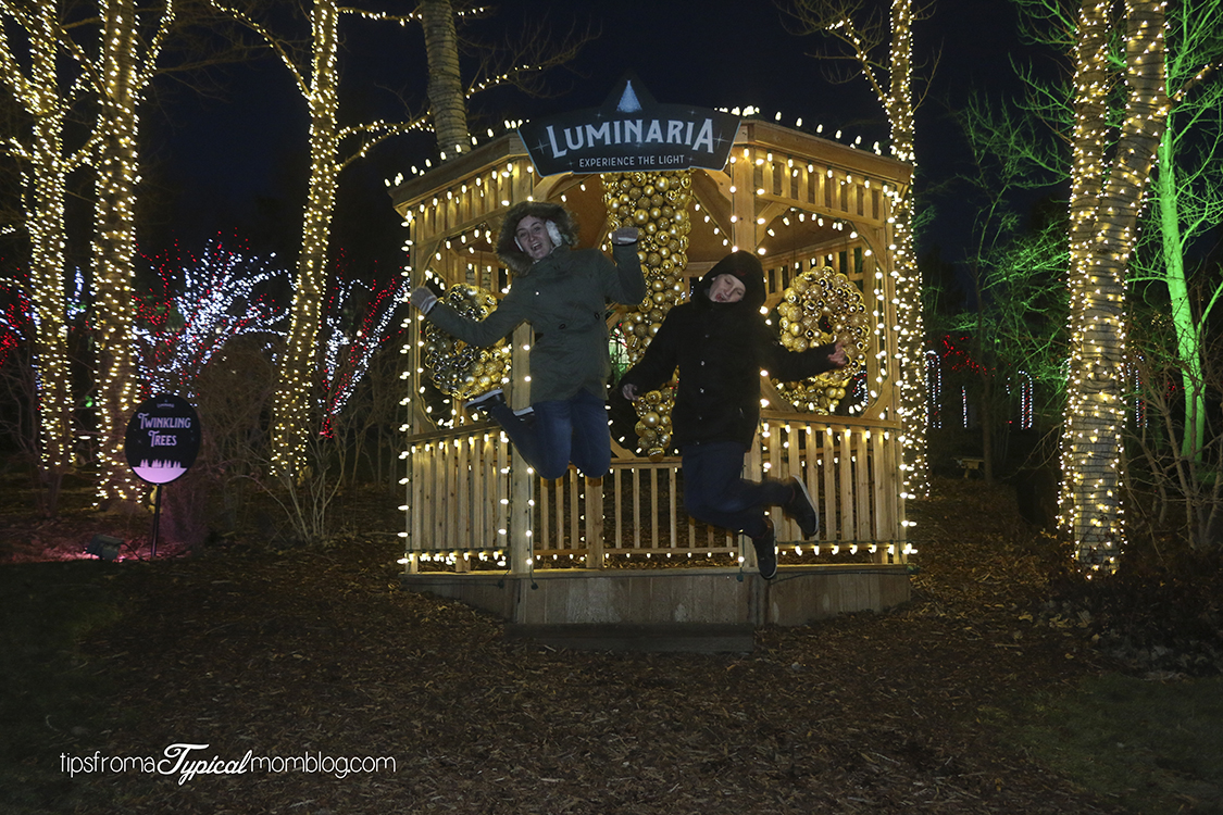 Luminaria at Thanksgiving Point- A Review - Tips from a Typical Mom