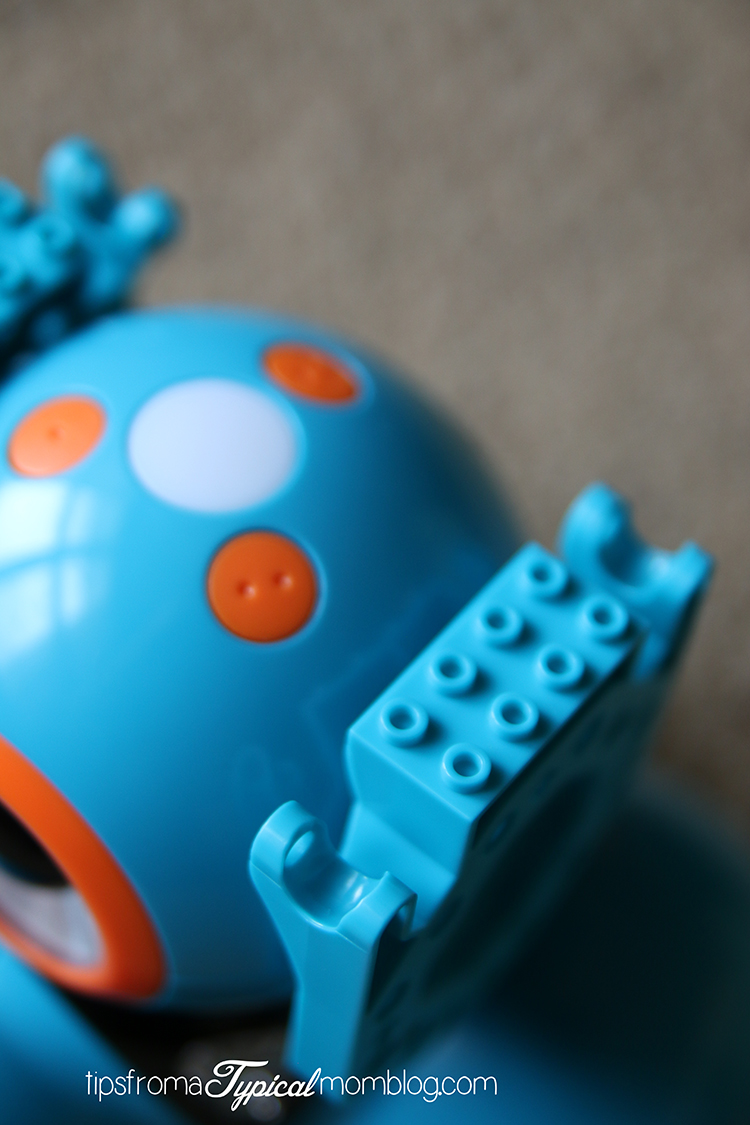 Dash Coding Robot- A Review - Tips from a Typical Mom
