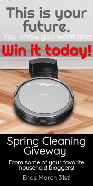 Spring Cleaning Giveaway and Resources - Tips from a Typical Mom